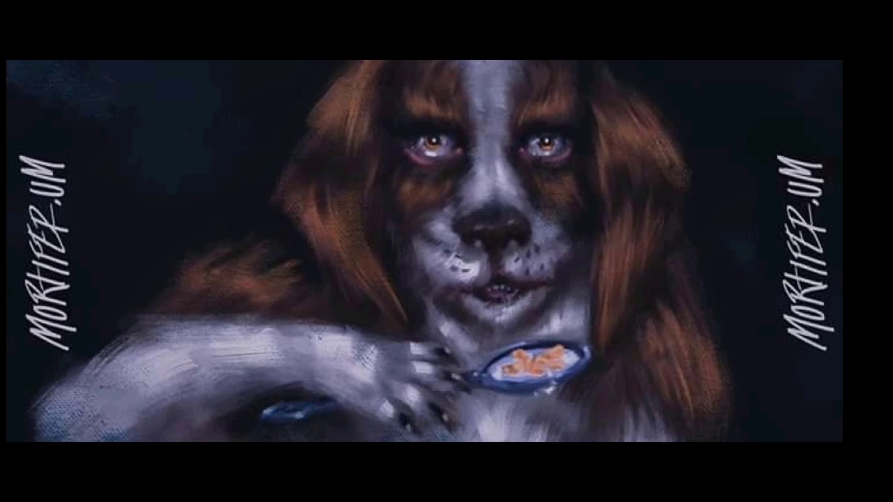 El perro que come cereal con cuchara - YouTube