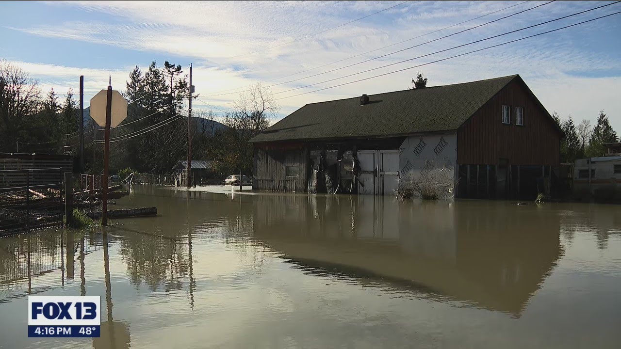 Hamilton residents assess damage after flooding | FOX 13 Seattle - YouTube