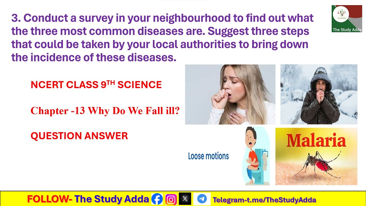 Conduct a survey in your neighborhood to find out what the three most ...