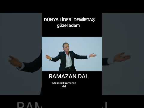 Selahattin Demirtaşa yazılmış en güzel şarkı #türkü#güzeladam #shortvideo #demirtaş #demparti