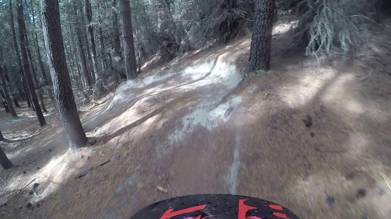 NZ sticky forest Yumpts - YouTube