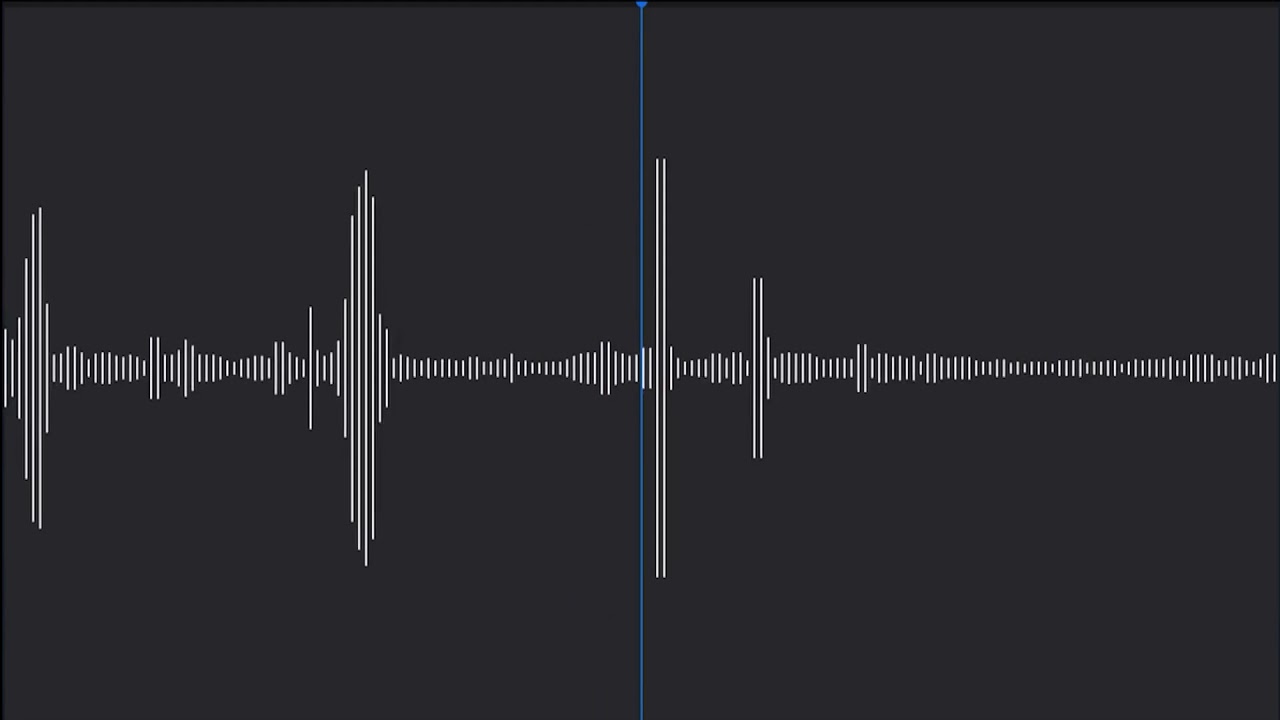 dog eating microphone - YouTube
