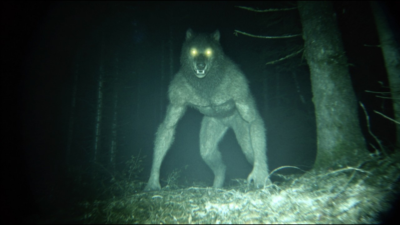 FBI Agents Speak Out About a Strange Dogman Encounter in Michigan - YouTube