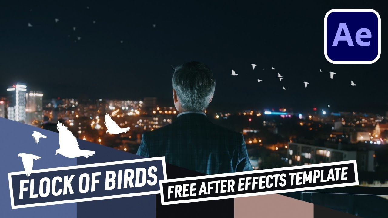BIRDS RIG — Free After Effects Template - YouTube