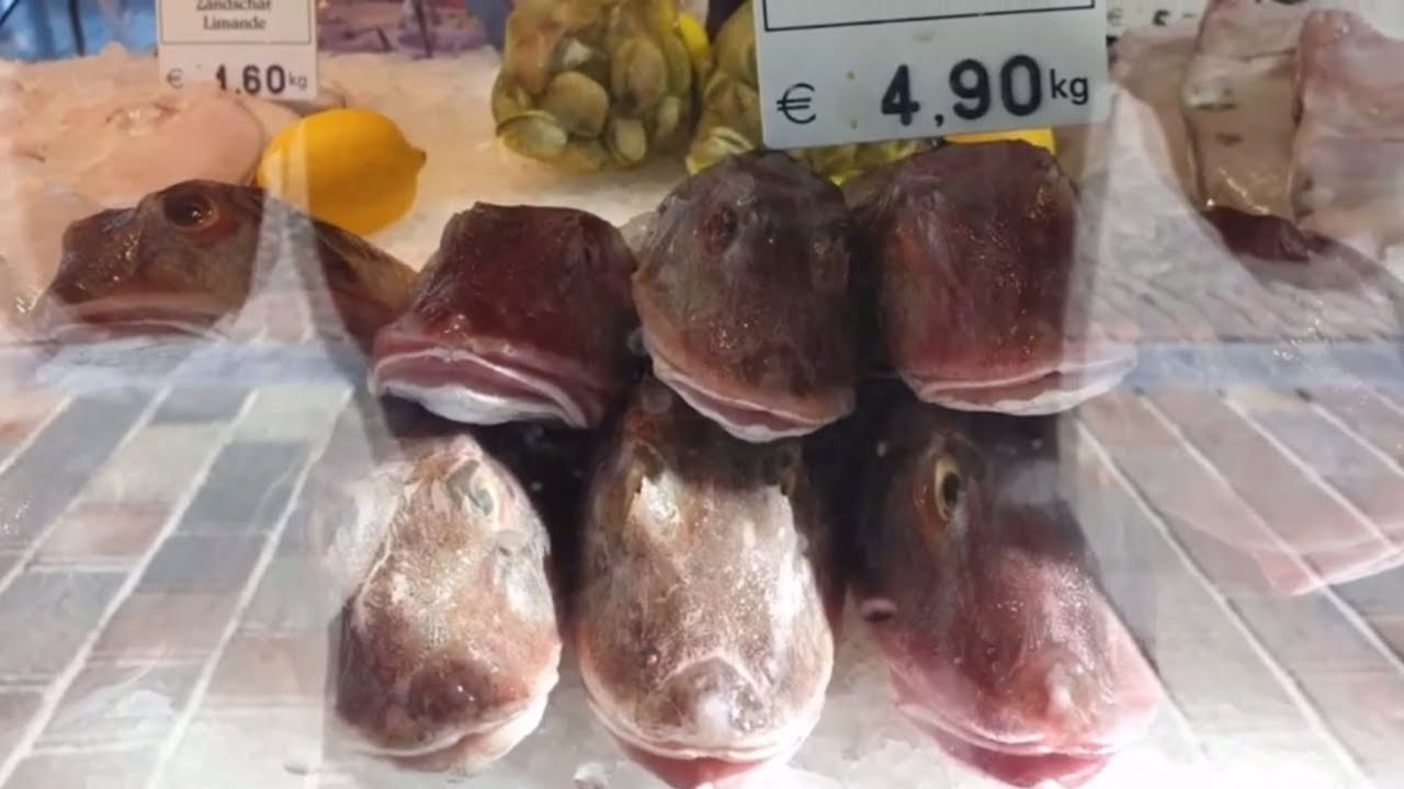 How to Cook a Red Gurnard fish in Belgium - YouTube