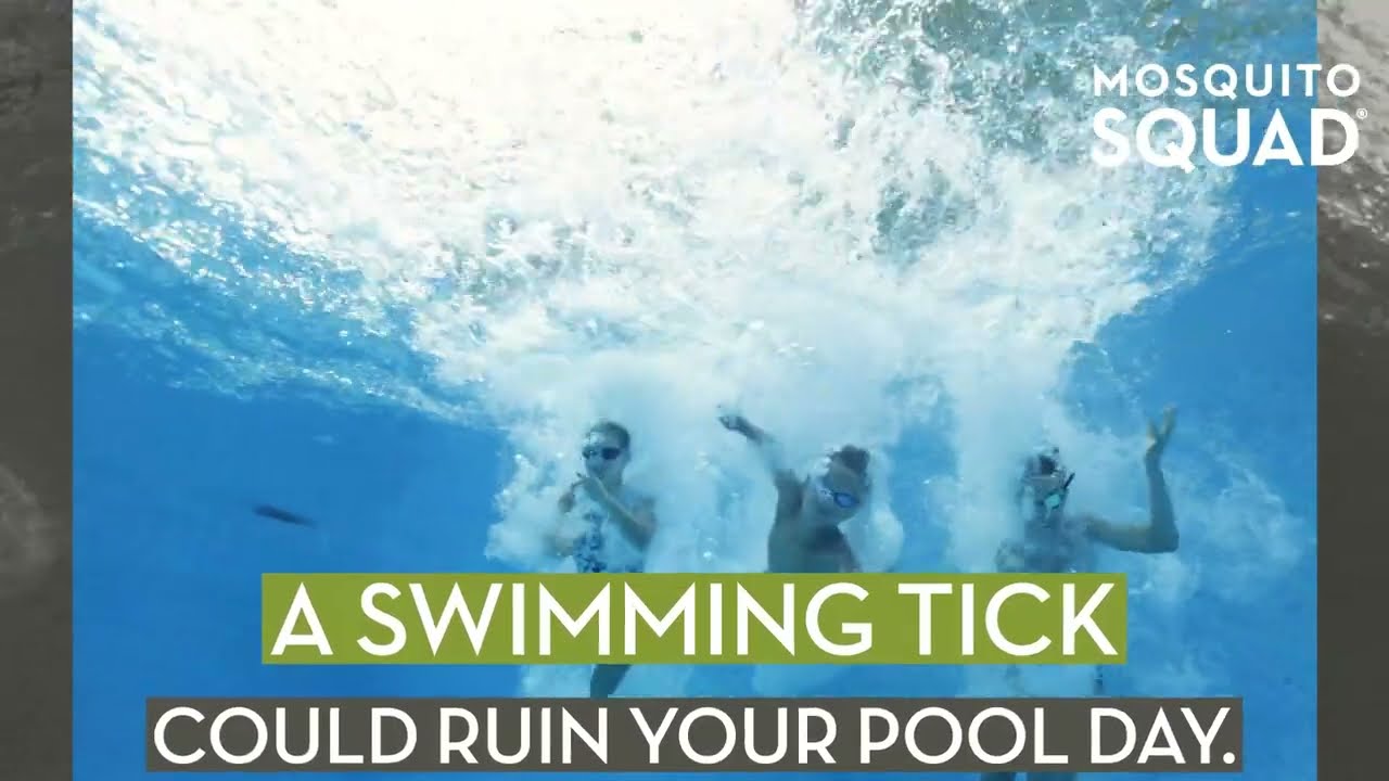 Can Ticks Swim? The Shocking Truth About Water & Your Risks - Answer ...