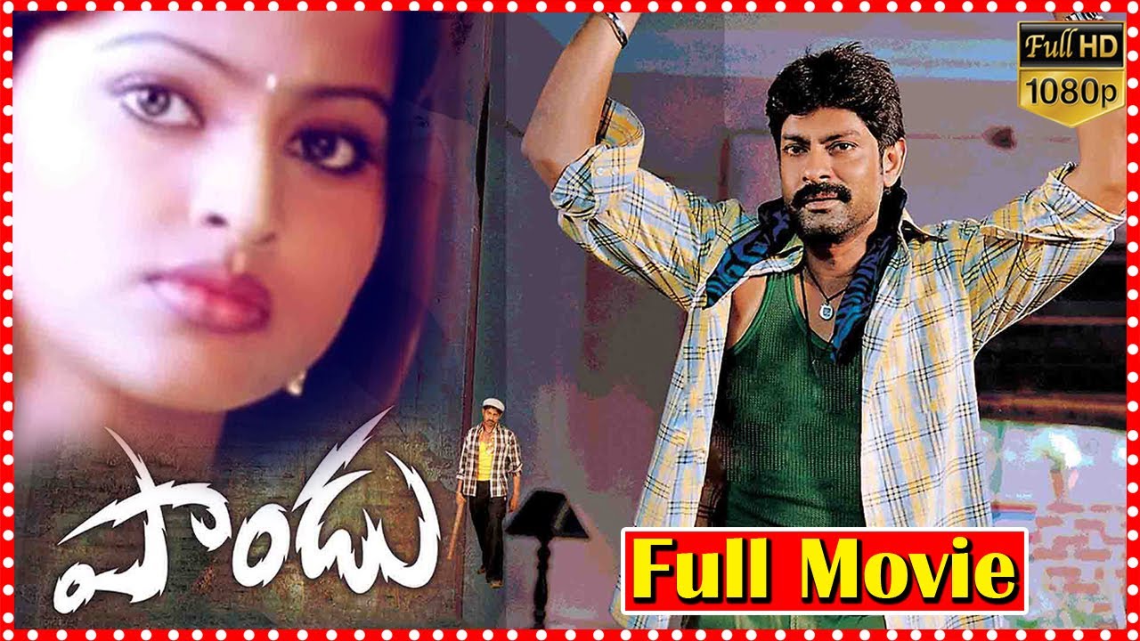 Pandu Super Hit Telugu Full Romantic Comedy Movie HD | Jagapathi Babu ...