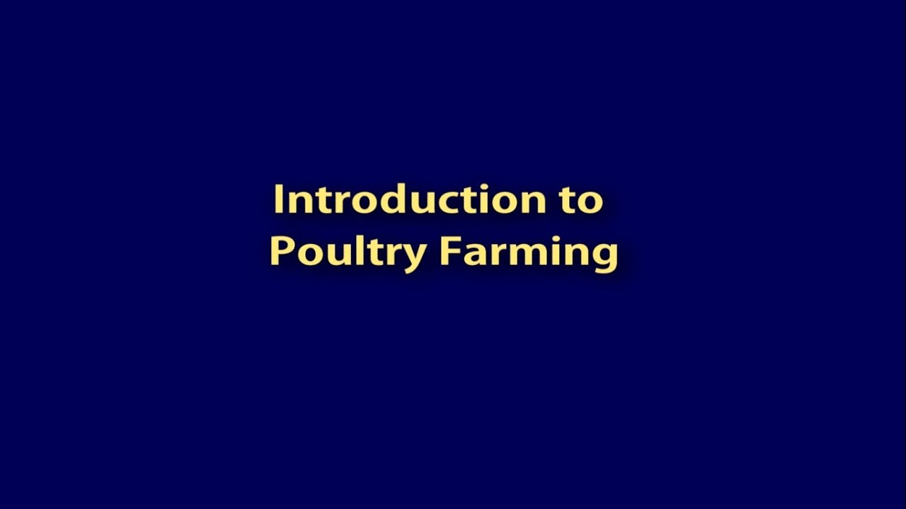 Introduction to Poultry Farming - YouTube