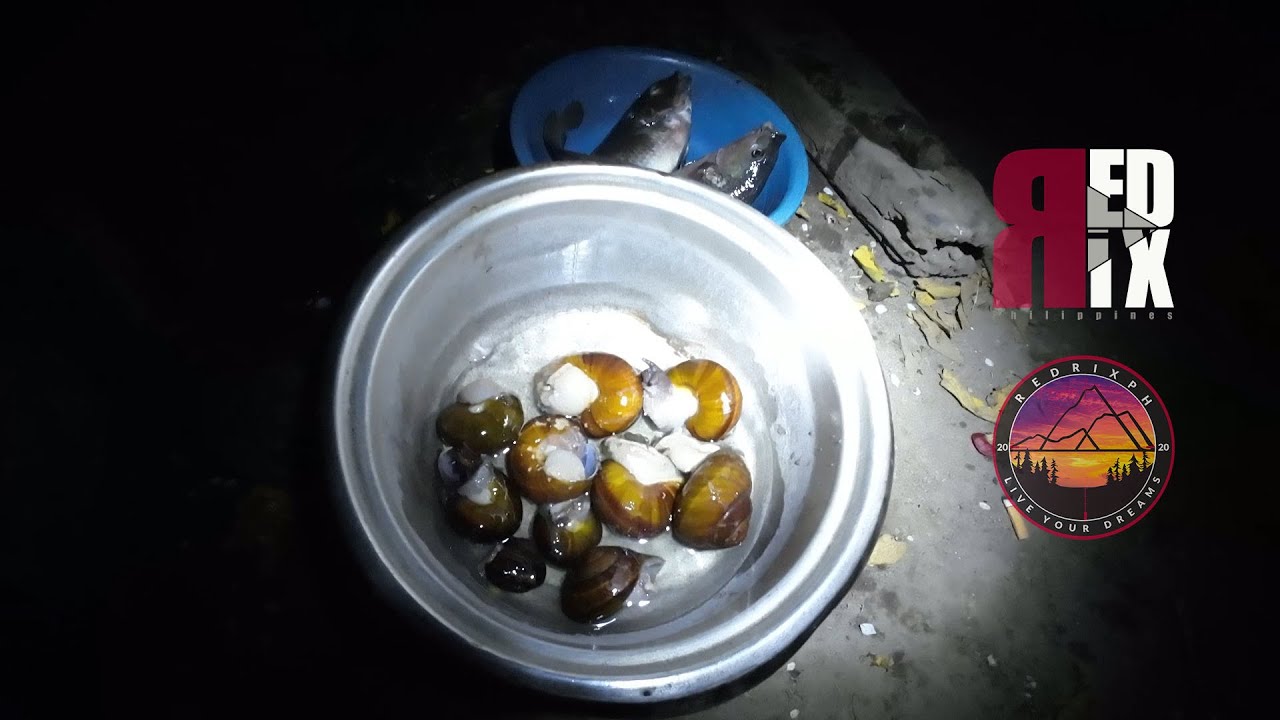 SE04EP084 - BAYUKO - Catch & Cook | San Pablo City, Laguna - YouTube