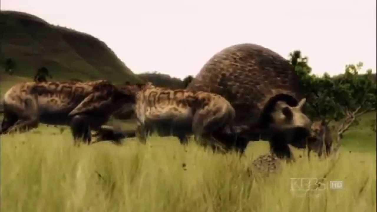 12900 Years Ago - (Last Extinction) 1 of 4 - YouTube