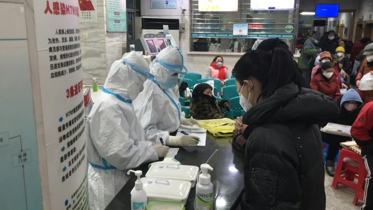 WHO update on the Chinese SARS-like virus epidemic | AFP - YouTube