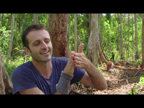 Orangutan Jungle School Season 1 BTS:  Working with Brad Pitt