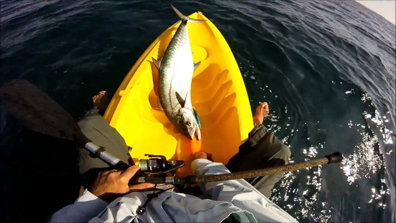 Kayak Kingfish Masirah, Oman - YouTube
