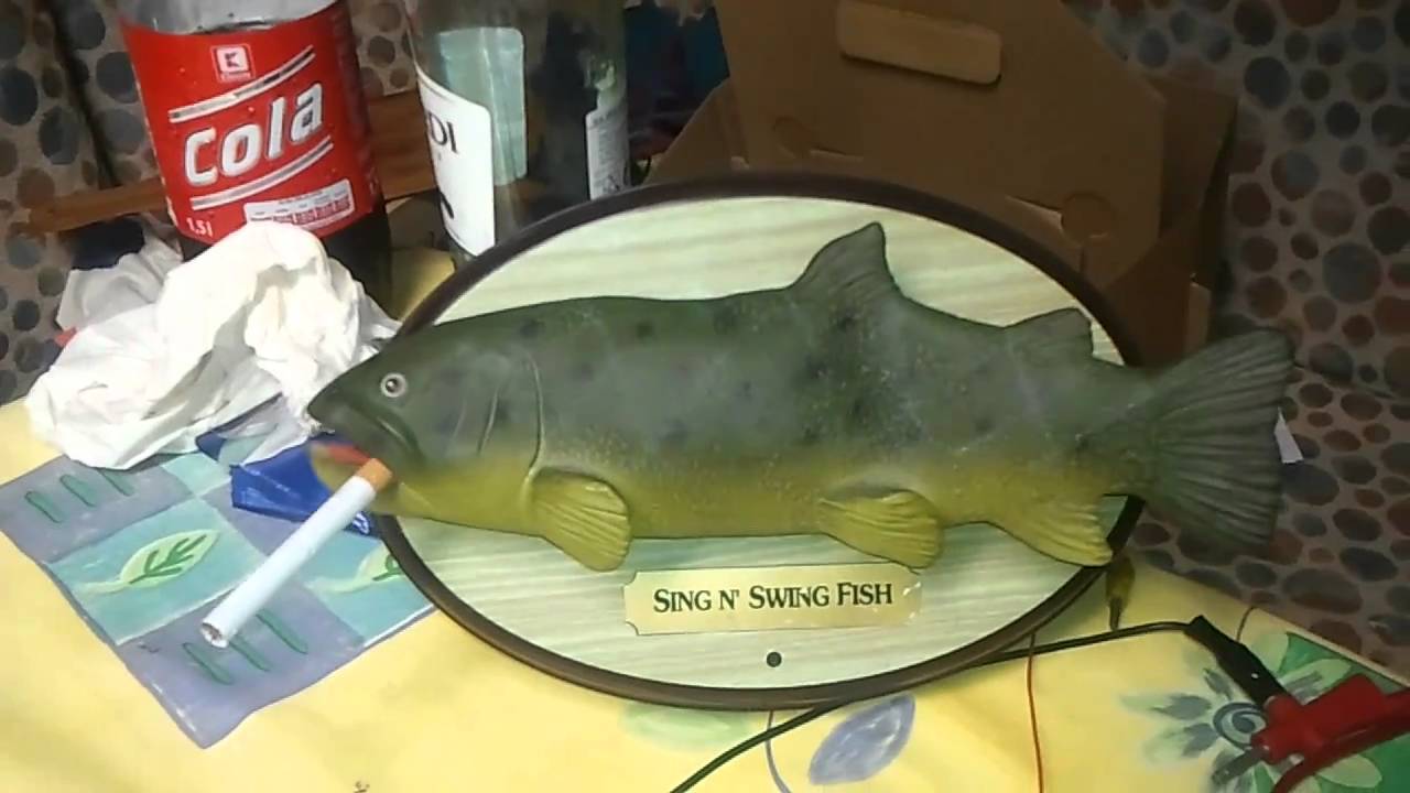 Singender Fisch mit Kippe - YouTube
