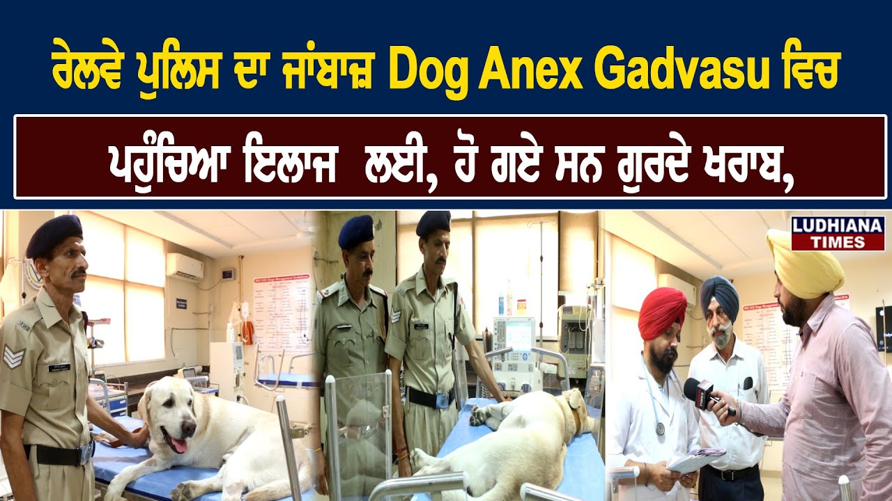 ਰੇਲਵੇ ਪੁਲਿਸ ਦਾ ਜਾਂਬਾਜ਼ Dog Anex Gadvasu ਵਿਚ ਪਹੁੰਚਿਆ ਇਲਾਜ ਲਈ, ਹੋ ਗਏ ਸਨ ...