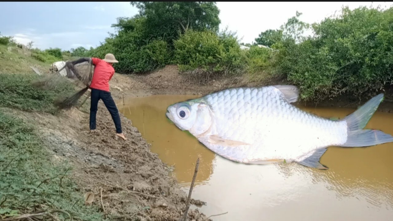 the best fish # fish small # add more fish fishing # fish in pot ...