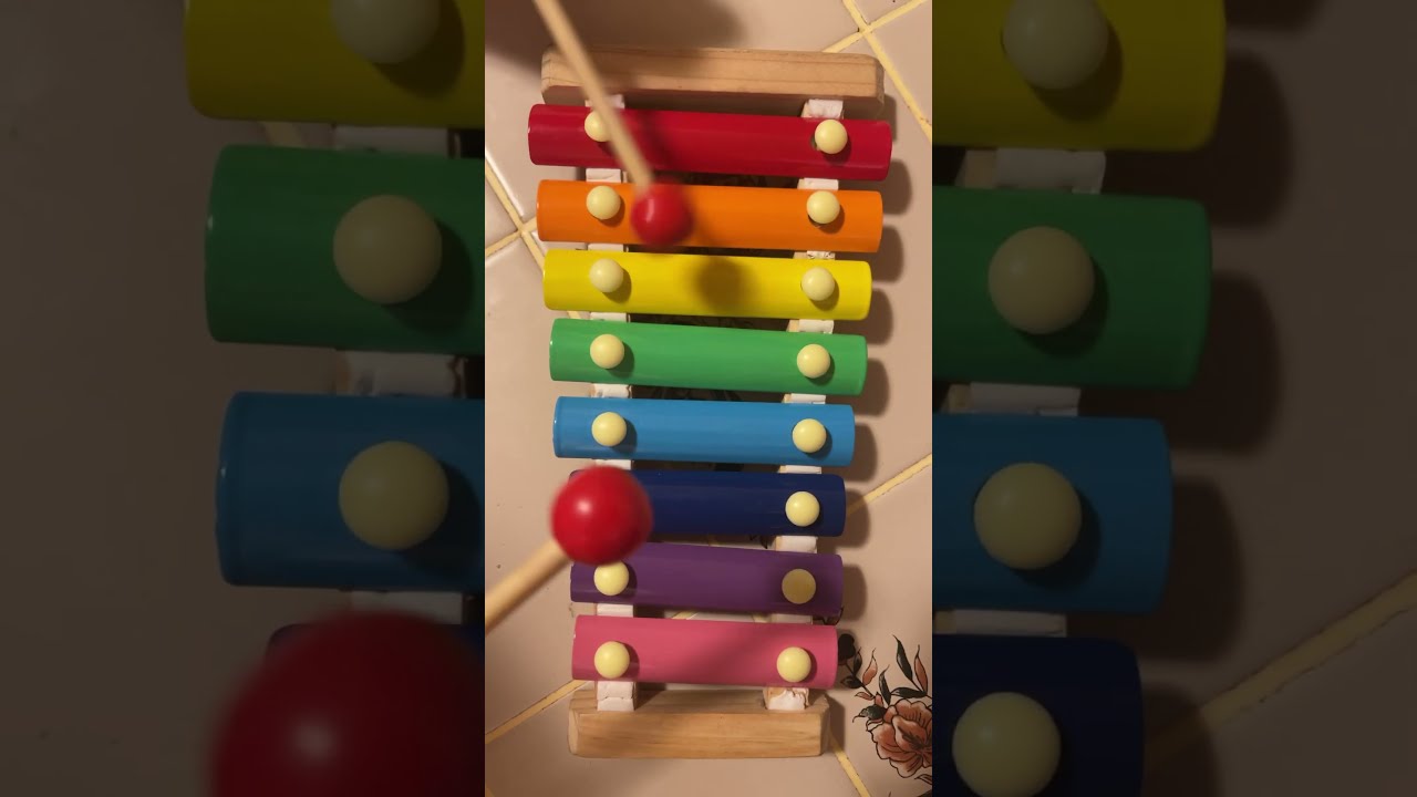 Xylophone Anatomy: 7 Parts You MUST Know (Beginner's Guide ...