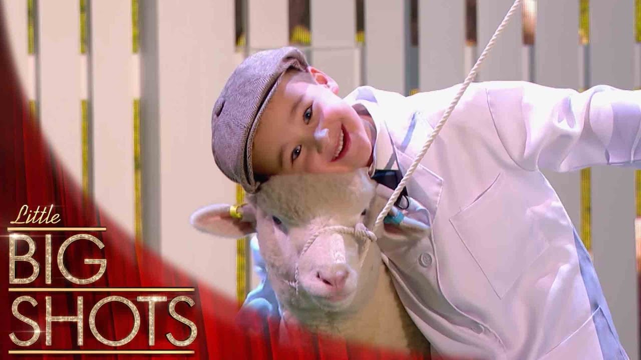Arthur Brings his Sheep "Bubbles" to the Stage | Little Big Shots - YouTube