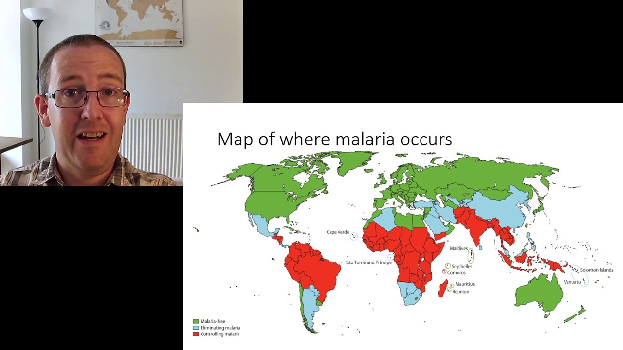 GCSE Biology: Pathogens and Disease: Fungi and Protists - YouTube