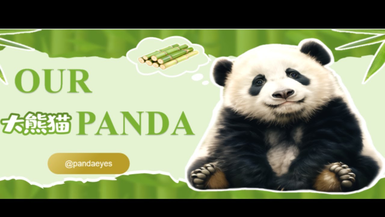 Our Panda - YouTube