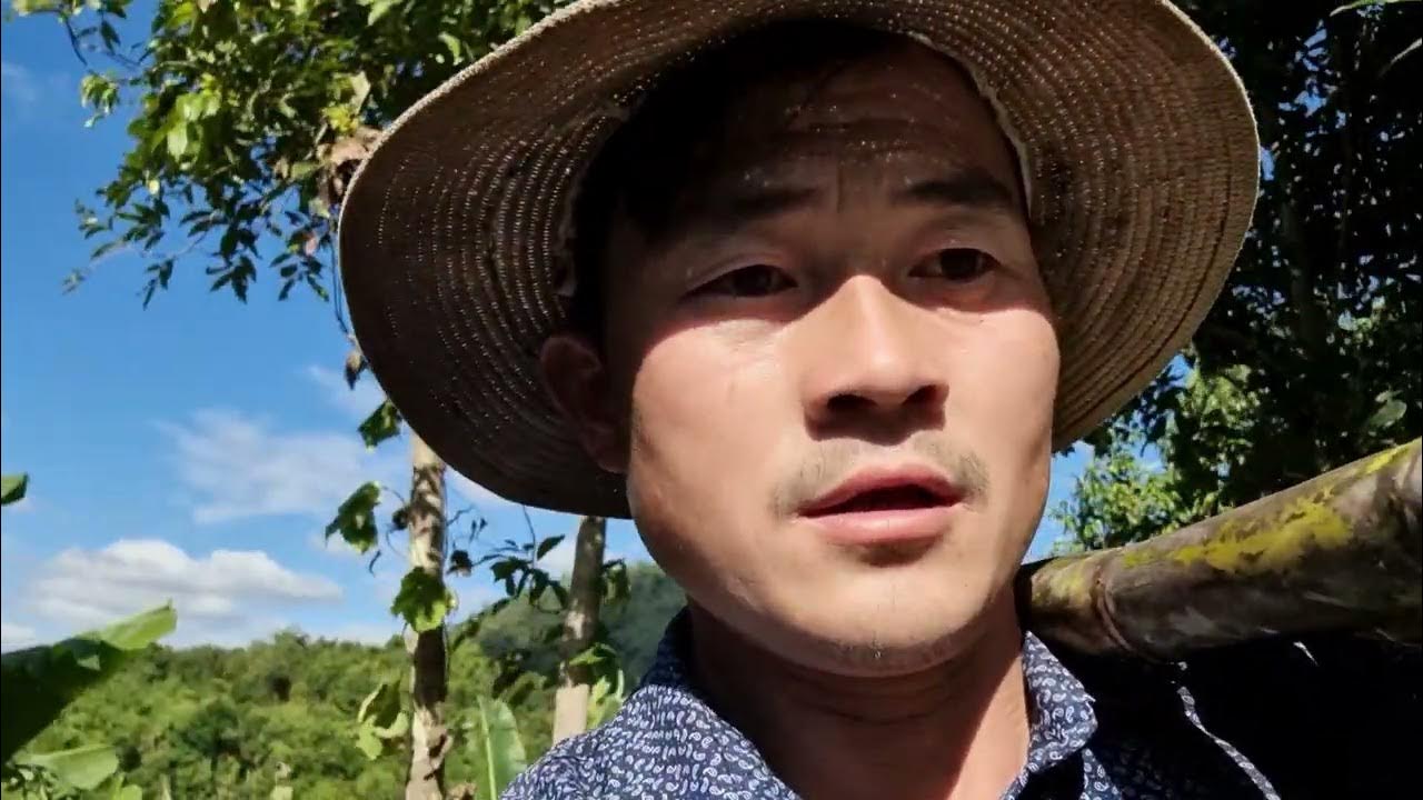 Hnub no kuv mu co noob zaub nyuj - YouTube