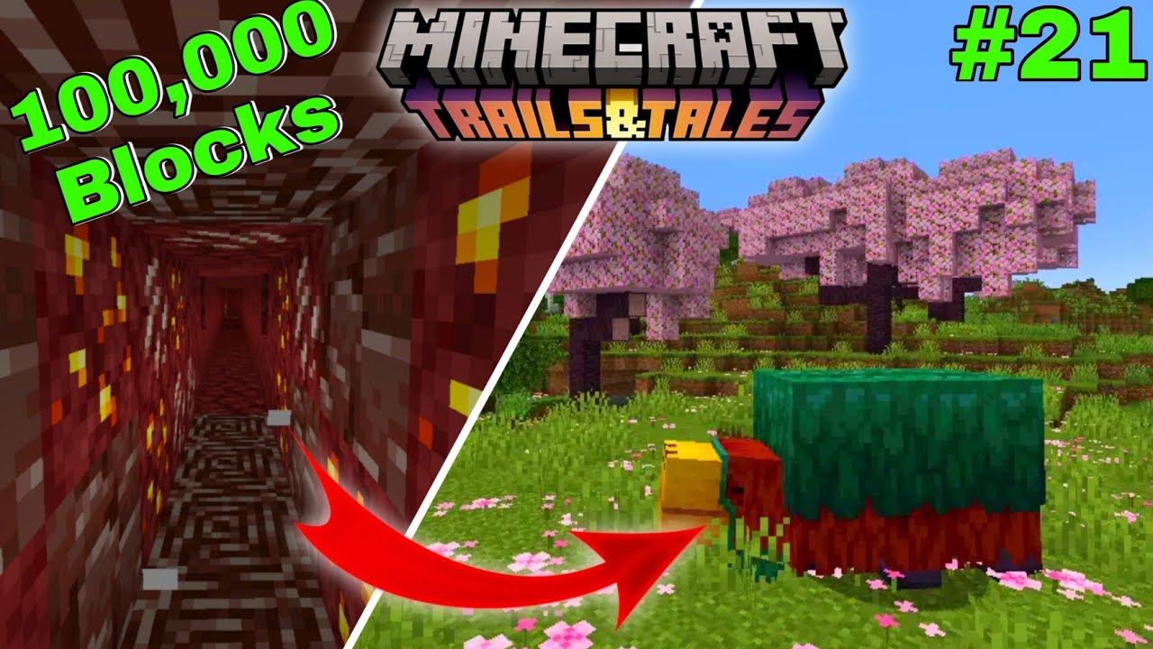 Journey Across 100,000 Blocks Exploring Minecraft 1.20 Chunks - YouTube