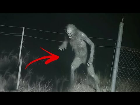 5 VIDEO TERRIFICANTI CHE TI FARANNO VENIRE VOGLIA DI GUARDARE DI PIÙ