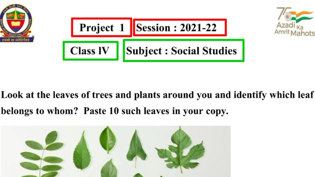 Class 4 SST SA 2 Project कक्षा 4 सामाजिक अध्ययन प्रोजेक्ट सत्र 2021-22 ...