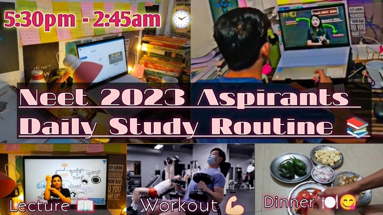 Daily Routine Of Neet 2023 Aspirants 💯 | Study 📚 Vlog || medico info 💉 ...