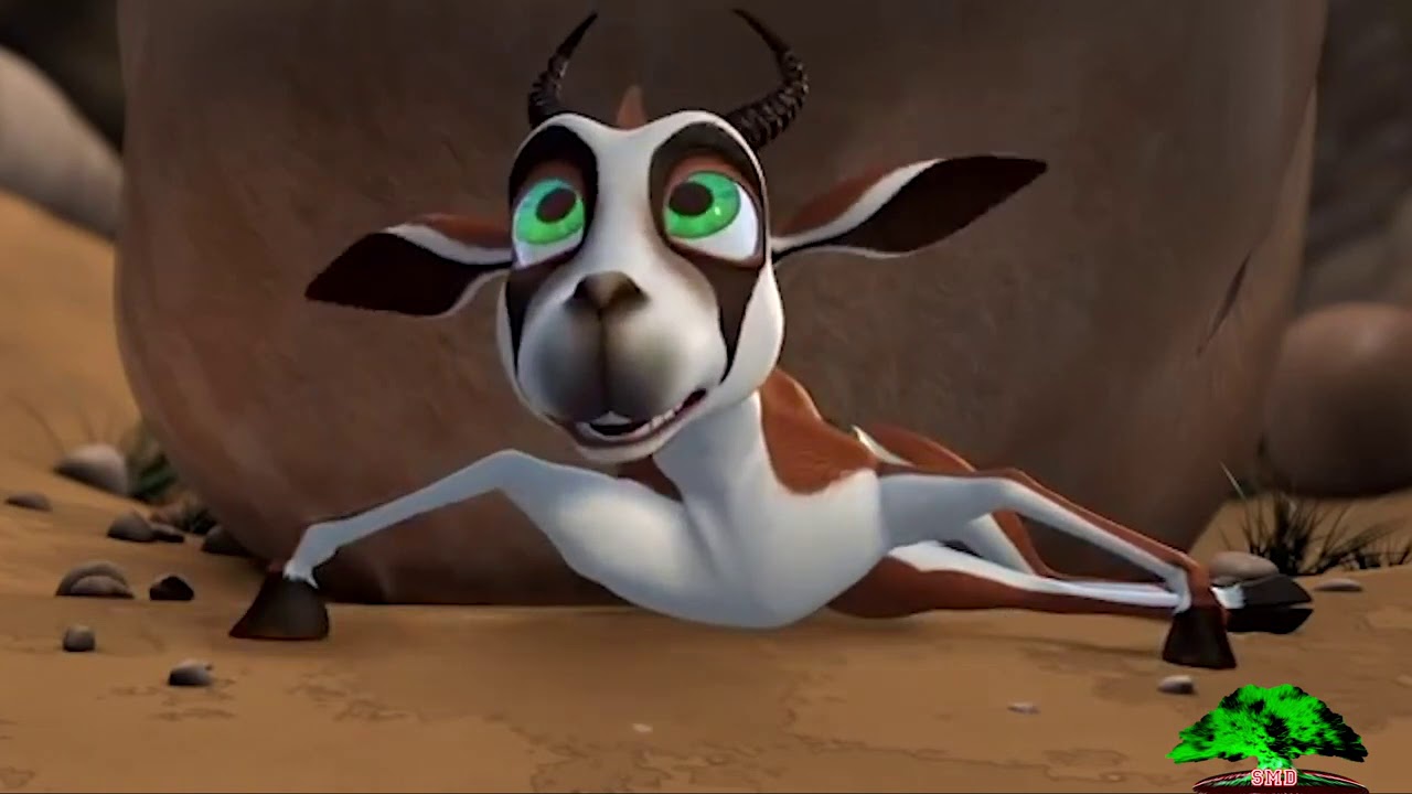 Tapha ijoollee - YouTube