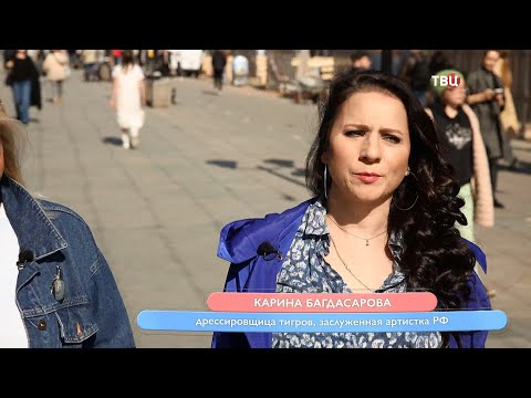«Настроение» / \