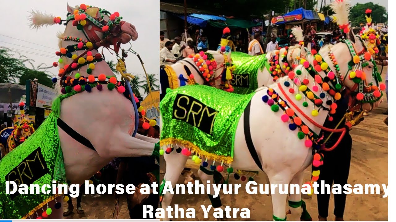 Dancing horse at Anthiyur Gurunathasamy Ratha Yatra, 2024 - YouTube