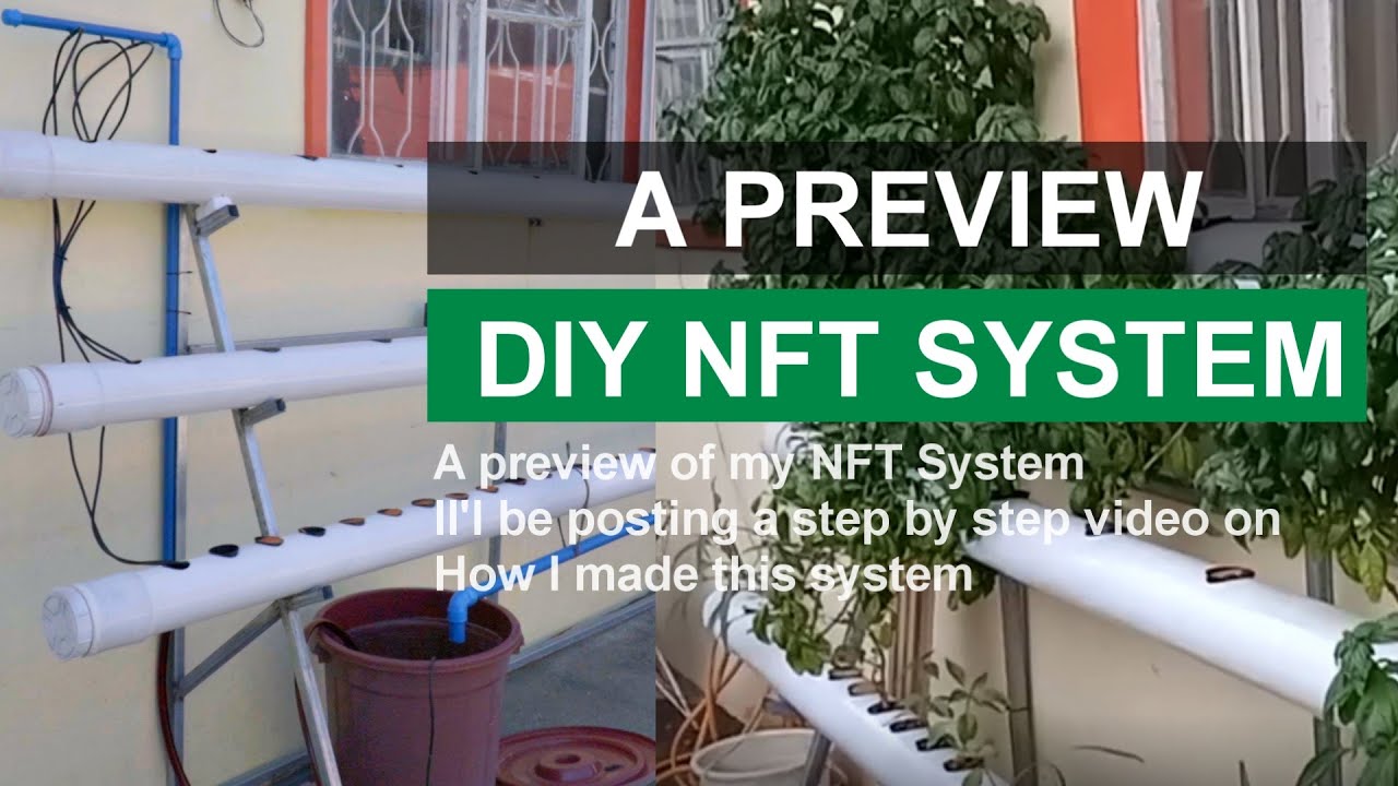 Teaser DIY Hydroponic System NFT Method - YouTube