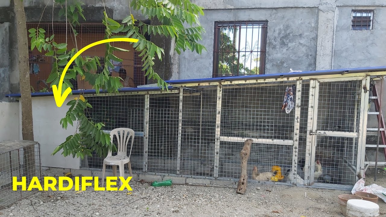 Installing Hardiflex on Your Chicken House: Step-by-Step Guide and ...