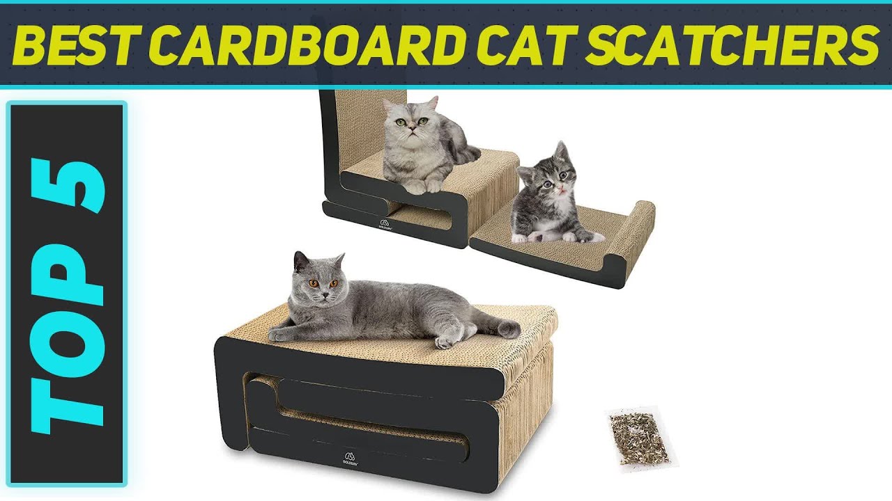 Top 5 Best Cardboard Cat Scatchers in 2023 - YouTube