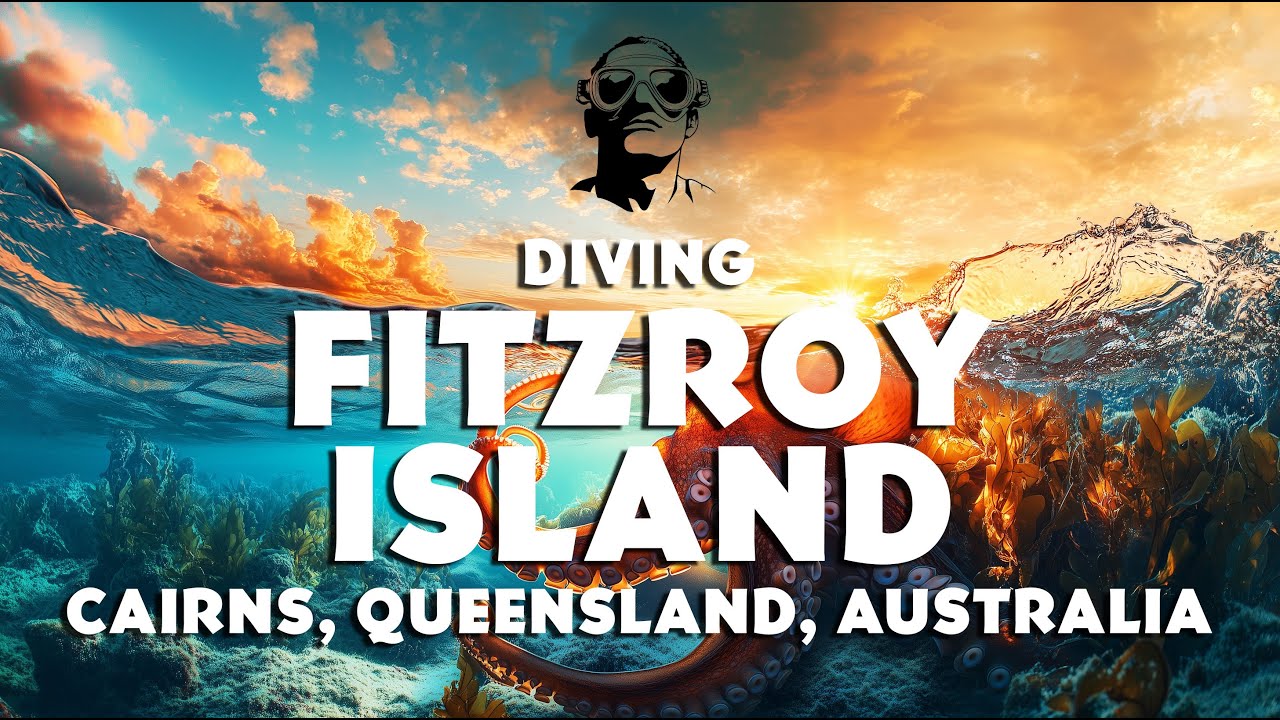 Diving Fitzroy Island, Great Barrier Reef, Cairns - YouTube