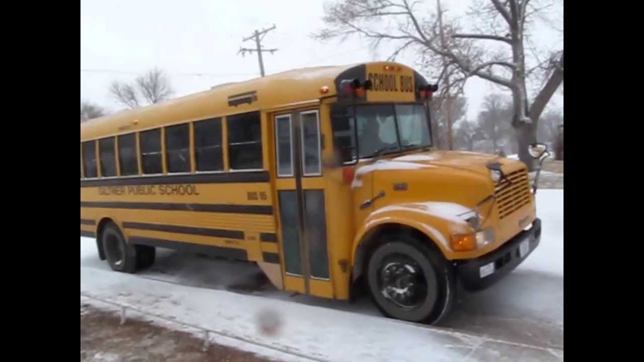 1995 International 3800 Thomas schoolbus for sale | sold at auction ...