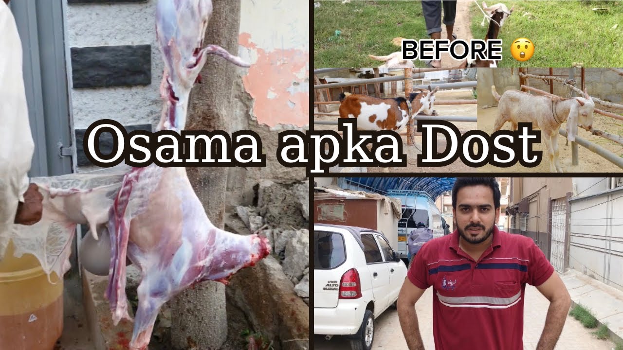 Bakra zibah ho gaya || Bakra lover || Daily vlog #viral #trend #bakra # ...