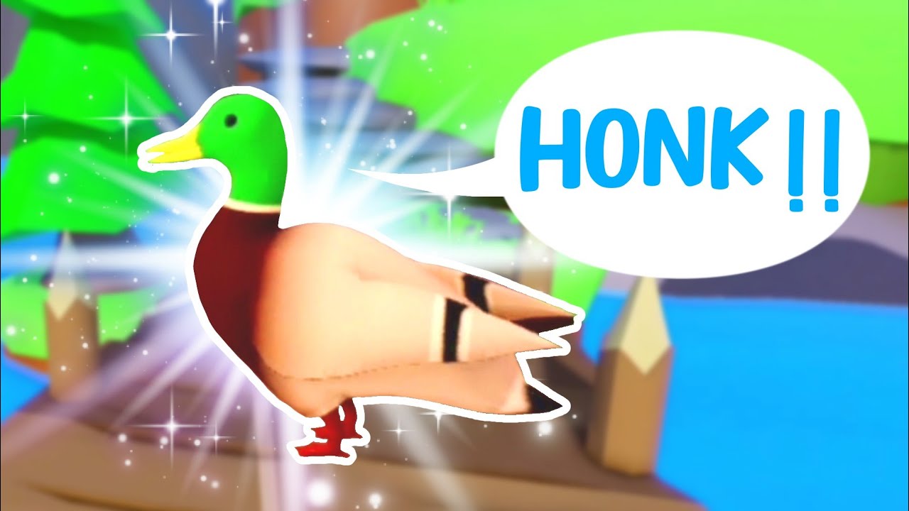 we were DUCKS in Roblox 🦆 Roblox "Honk!" • Zeekay - YouTube