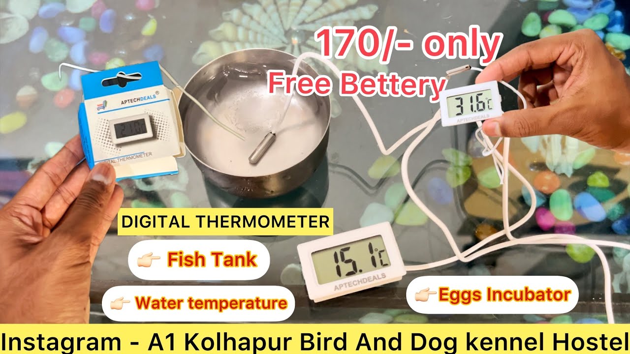 LCD Digital Thermometer Heating & Cooling! Digital Temperature Sensor ...