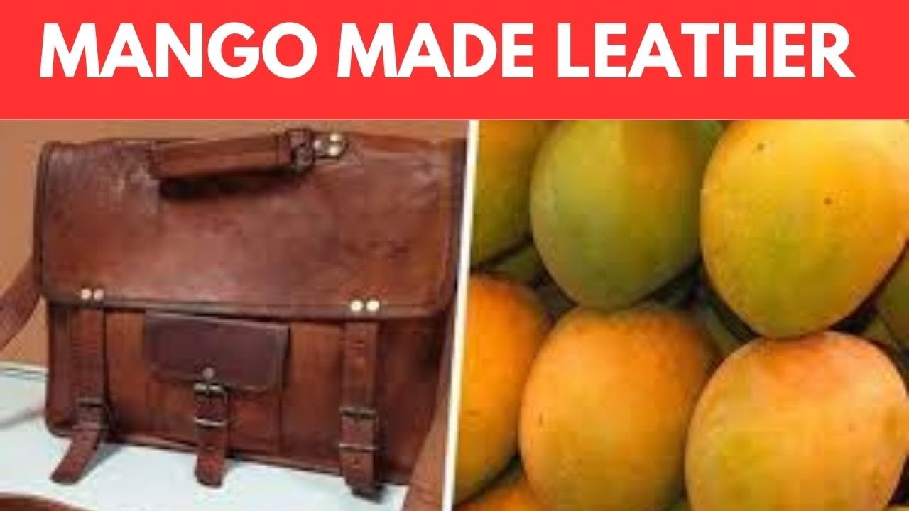 Mango make leather - YouTube
