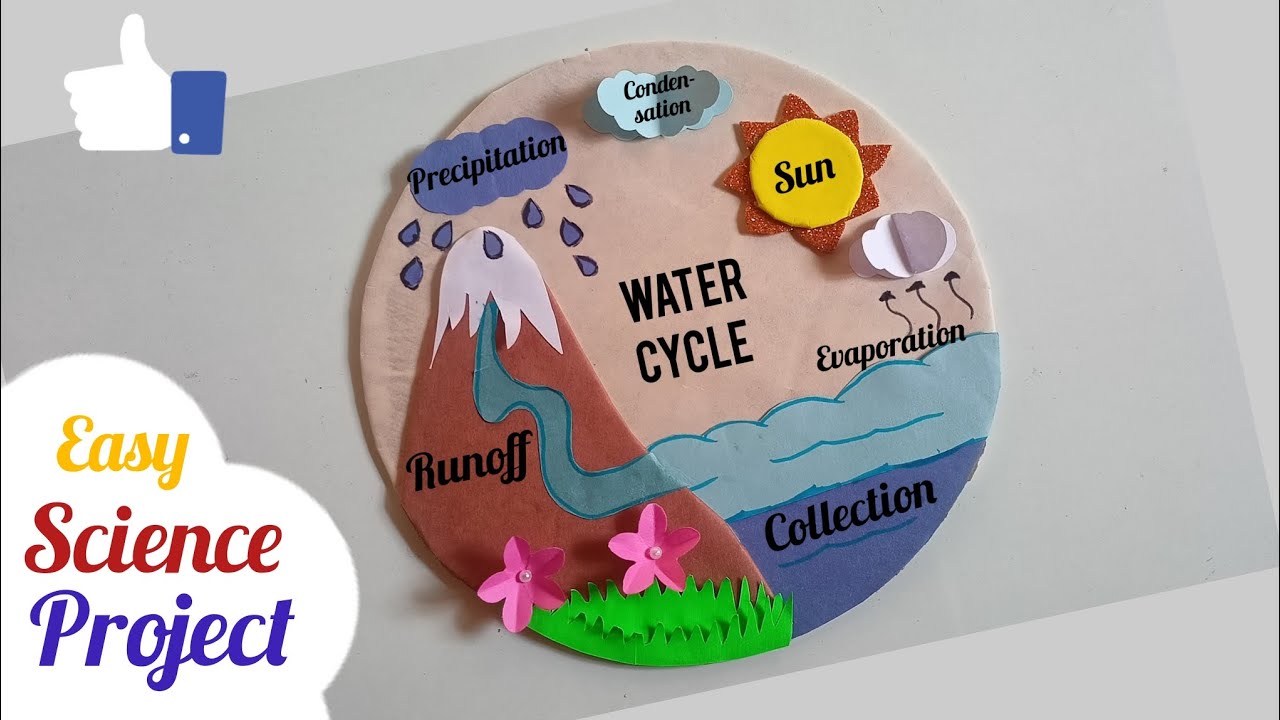 Water Cycle Science Project Easy/ DIY Water Cycle Model/ Water Cycle ...