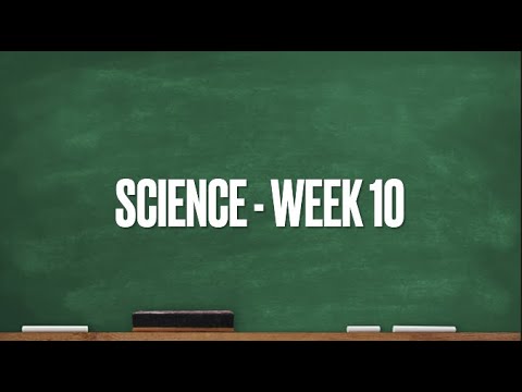 CC Cycle 1 Week 10 Science - YouTube
