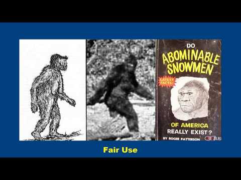 Where to find Patty? (Debunk Patterson-Gimlin Film) 1080px - YouTube