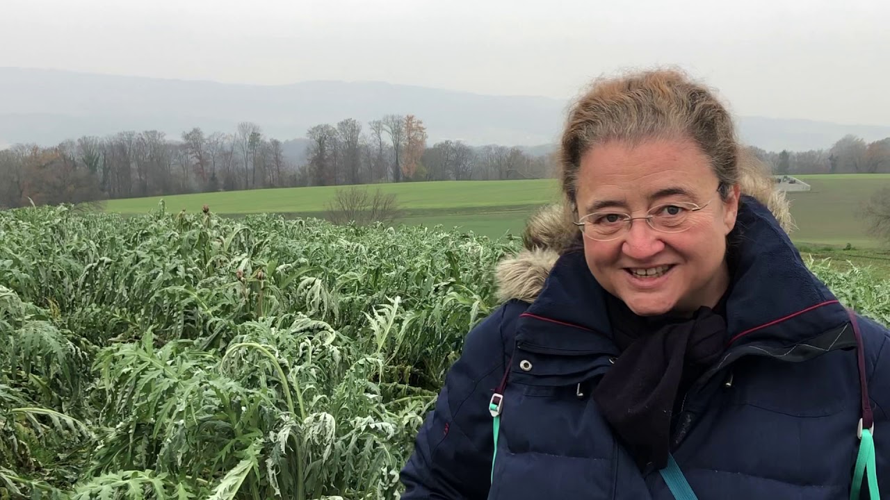 Dominique Barjolle nos habla del Foro Origen, Diversidad y Territorios ...