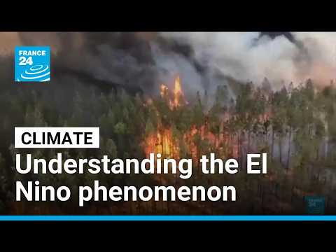 What is the El Nino phenomenon? • FRANCE 24 English