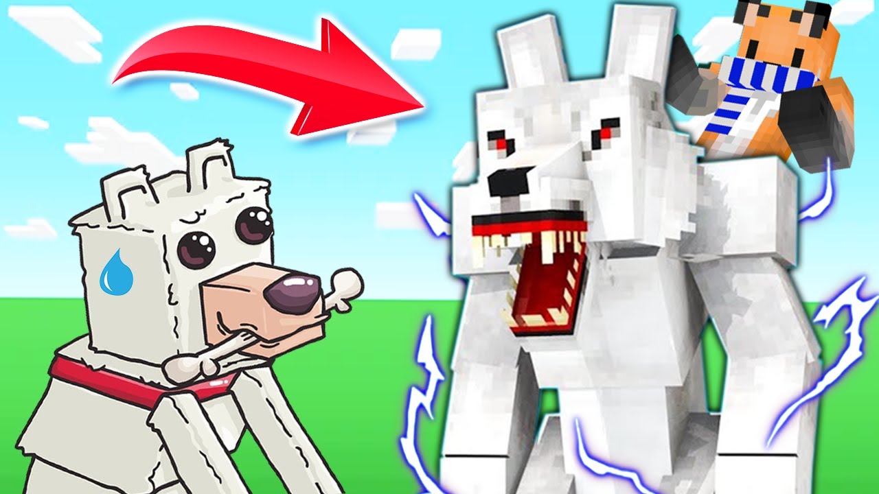 Minecraft, de fejlesztheted a kutyákat! - Doggy Care Bemutató - YouTube
