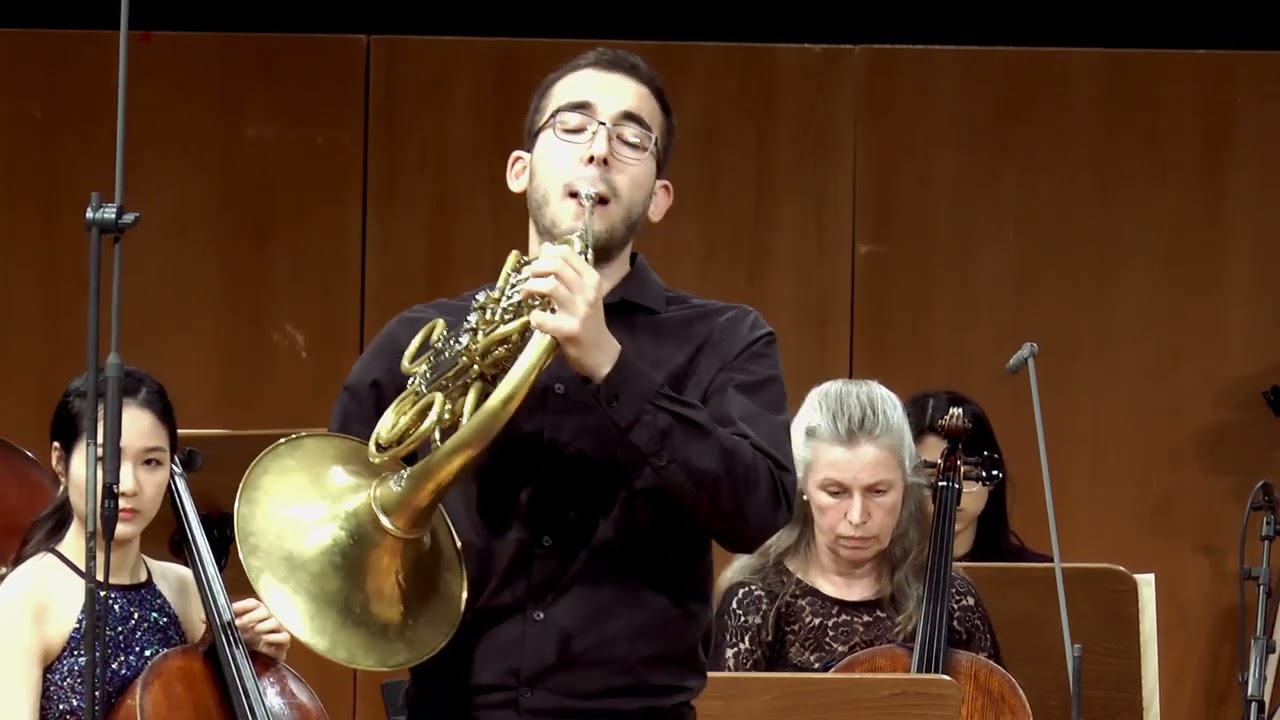 W.A. Mozart: Hornkonzert Nr. 2 KV 417 Es-Dur | 1. Satz und 3. Satz ...