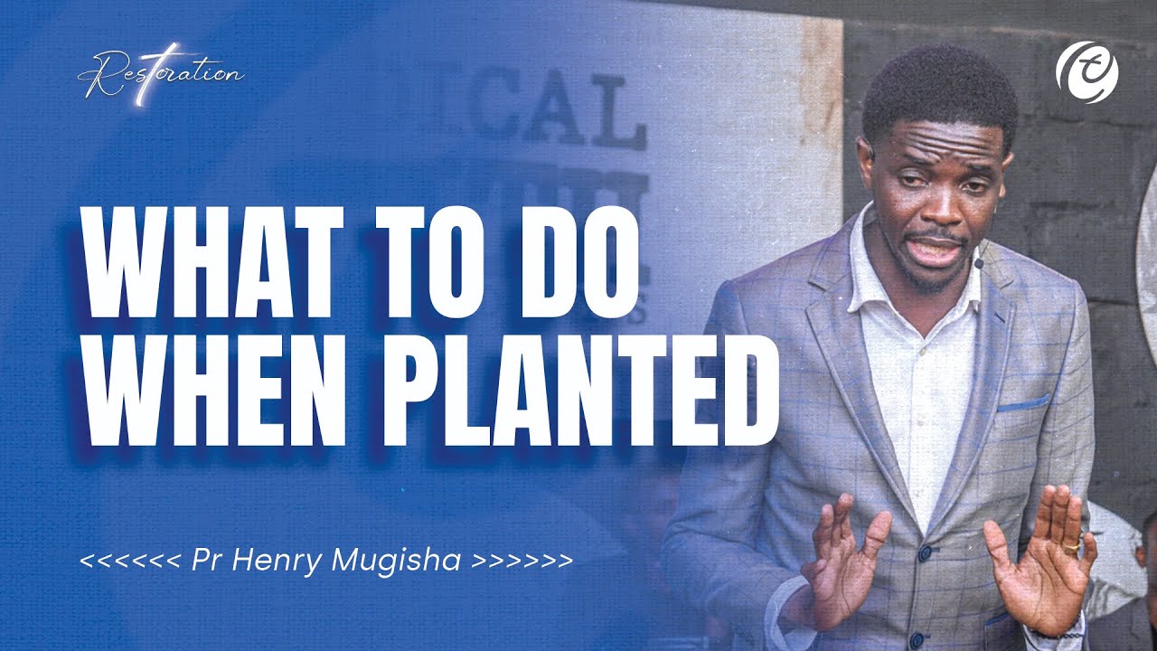 WHAT TO DO WHEN PLANTED | ONLINE CELEBRATION | Ps Henry Mugisha - YouTube