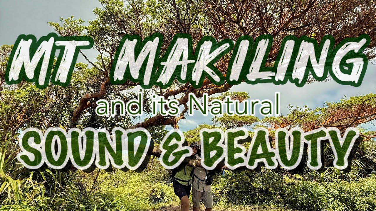 Mt. Makiling and its raw sound and beauty. #mountains #hiking #nature # ...